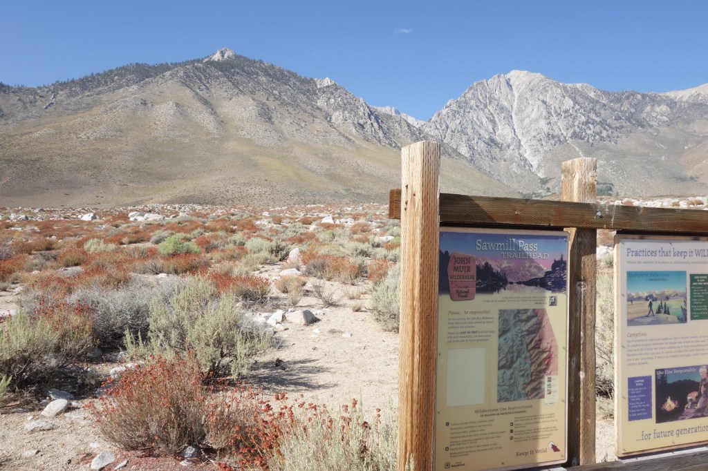 Sawmill Pass – Hike For Days