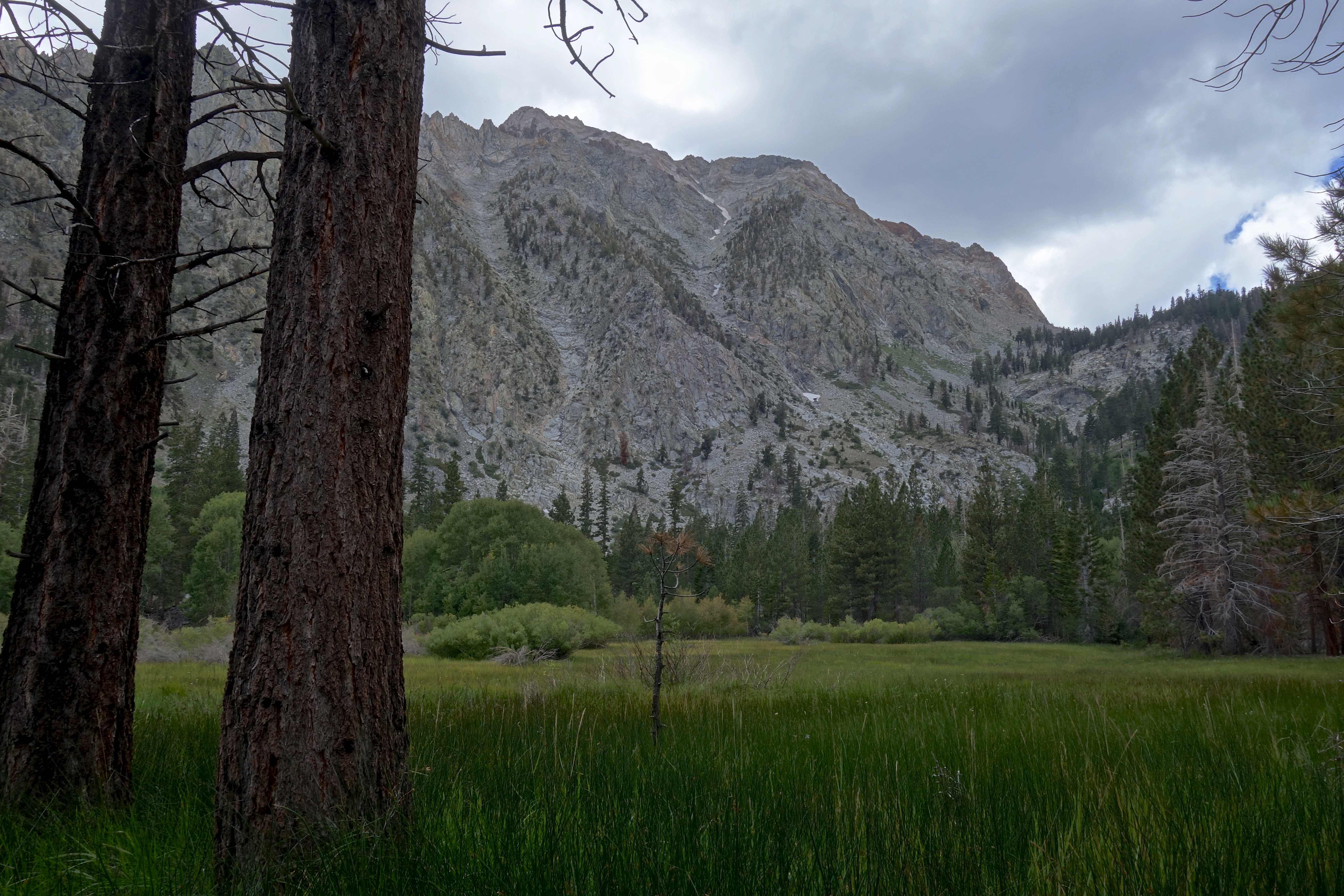Sawmill Pass – Hike For Days